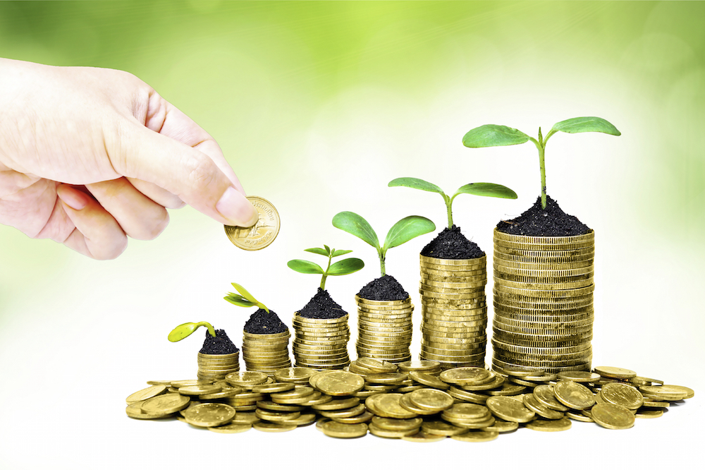 Dominar tus finanzas es un arte que se aprende paso a paso, así que no ...